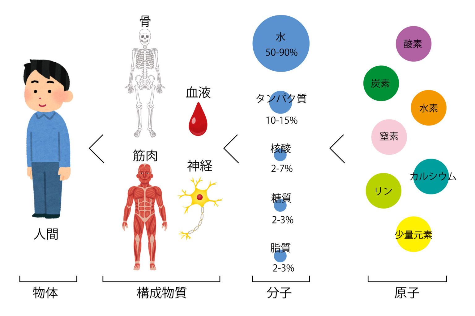 量子力学とは？知識がゼロでも大丈夫！簡単に解説します│WQE Premium Ⅱ｜WQE Premium Ⅱ